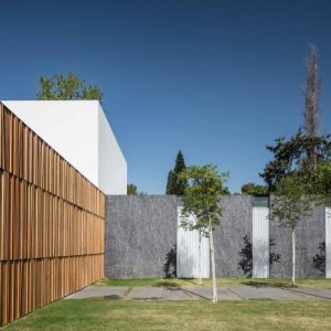 About Fervital - Fervital